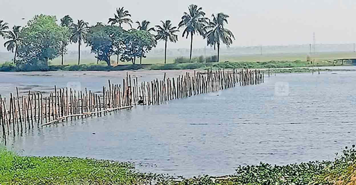 ഏനാമാവ് വളയംബണ്ട് നിർമാണം വൈകുന്നു; കർഷകർ ആശങ്കയിൽ