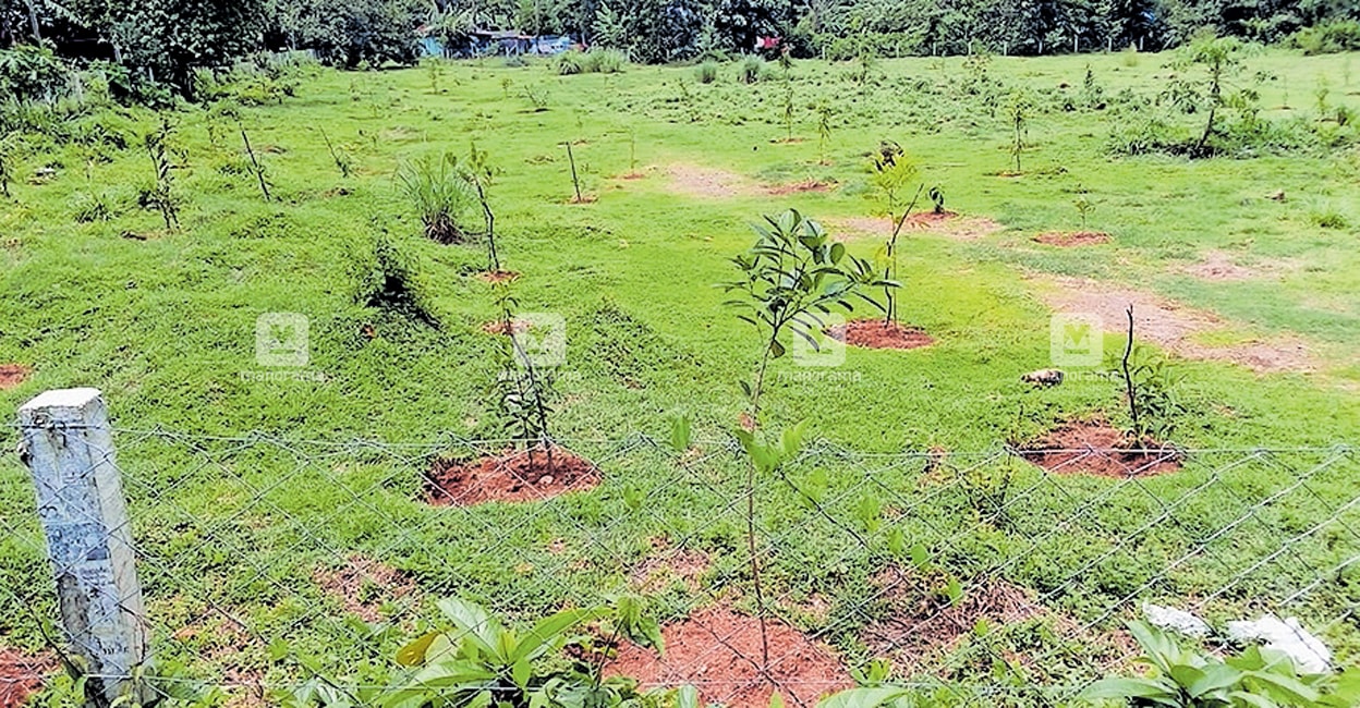 പട്ടണത്തിന്റെ ശ്വാസംമുട്ടലുകൾക്കിടയിൽ നിന്ന് മാറി സ്വസ്ഥമായി ചെലവഴിക്കാ ...