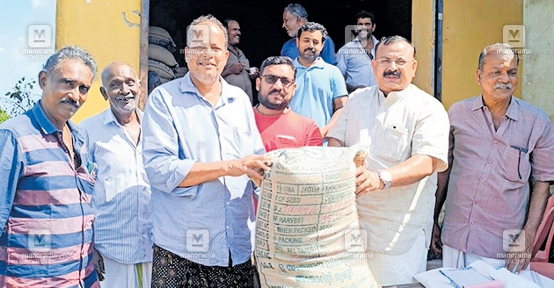 എളവള്ളിയിൽ കർഷകർക്ക് നെൽവിത്ത് സൗജന്യം; വിതരണം ചെയ്യുന്നത് കിലോയ്ക്ക് ...