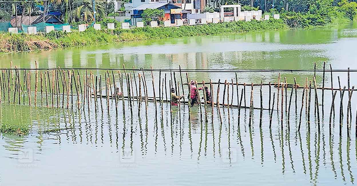 ഇടിയഞ്ചിറയിൽ താൽക്കാലിക വളയം ബണ്ട് നിർമാണം തുടങ്ങി | saltwater ...