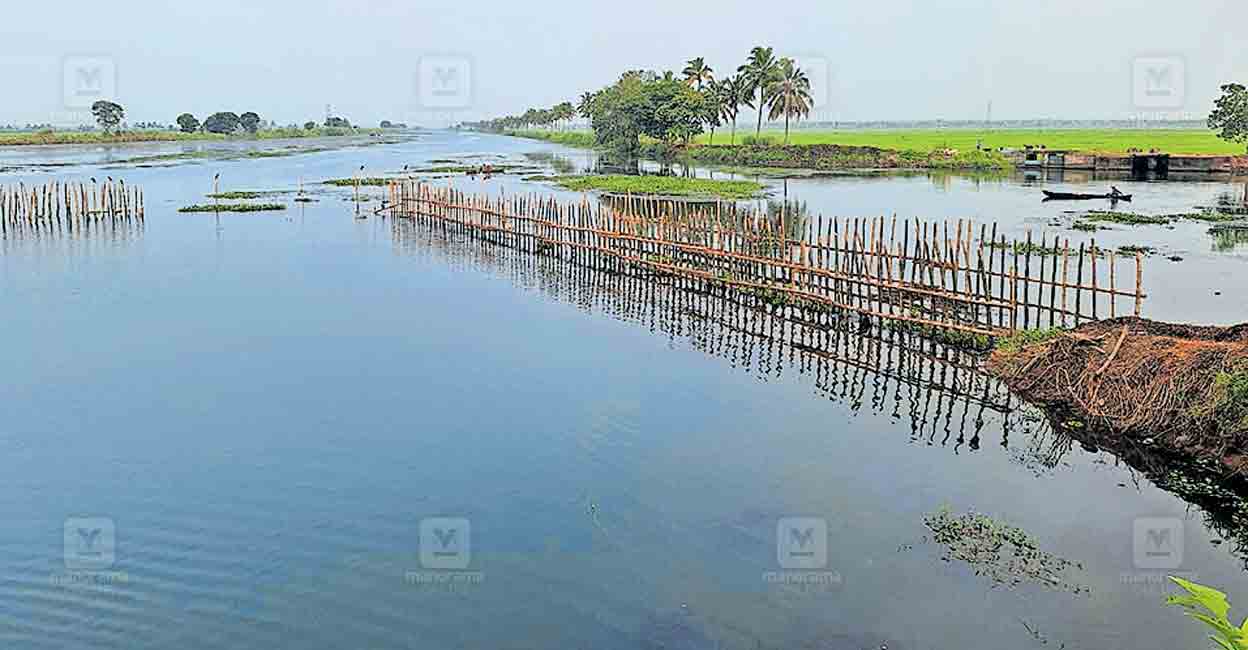 വളയം ബണ്ട് നിർമാണം ഇഴയുന്നു; കോൾ മേഖലയിൽ ഉപ്പുവെള്ള ഭീഷണി | ring bund ...