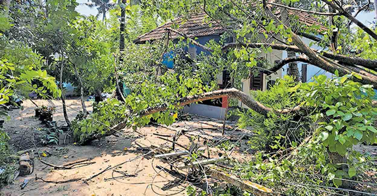 മരവും വൈദ്യുതി പോസ്റ്റും വീണ് വീട് തകർന്നു | Azhikode | House Damaged ...