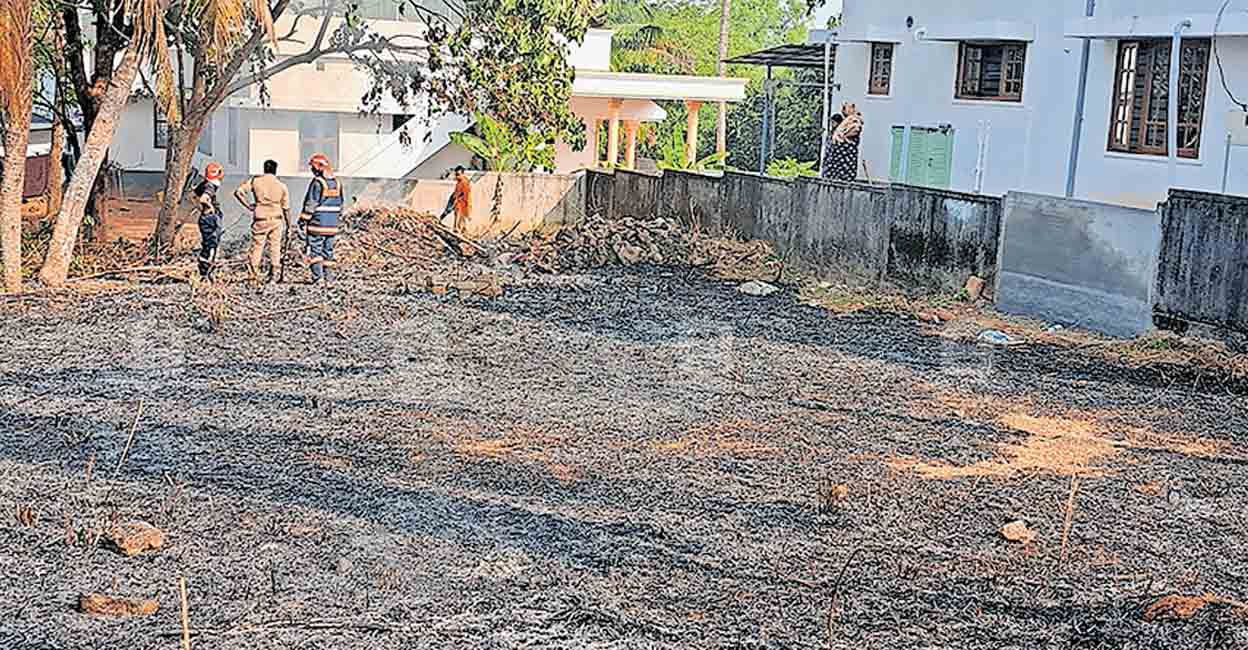 ഉണക്കപ്പുല്ലിന് തീപിടിച്ചു