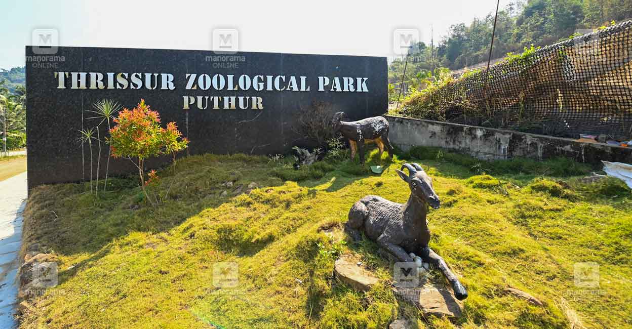 പുത്തൂർ സുവോളജിക്കൽ പാർക്കിന് ബജറ്റിൽ 6 കോടി രൂപ വകയിരുത്തി