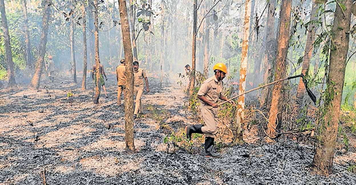 തേക്ക് തോട്ടത്തിൽ തീ പിടിച്ചു | Kuttikad fire | fire | teak plantation ...