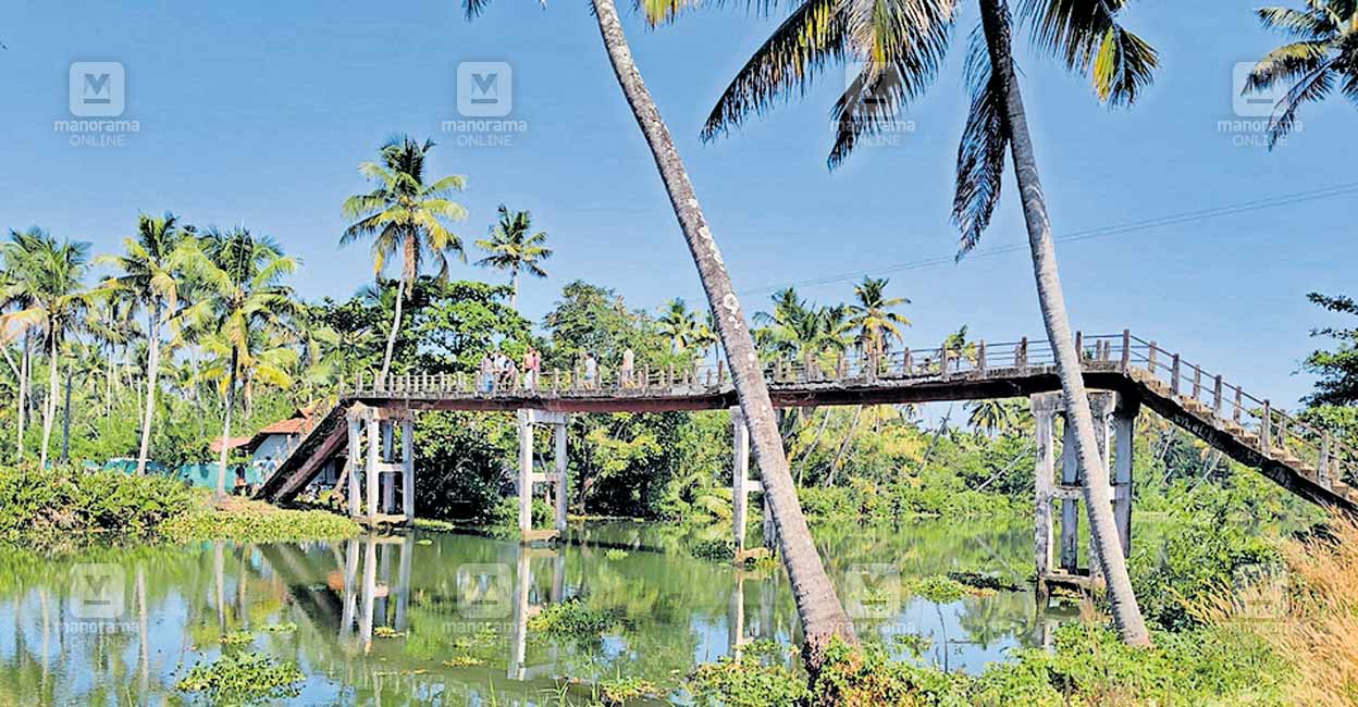 മഴുവഞ്ചേരി നടപ്പാലം അപകട ഭീഷണിയിൽ; പുതുക്കി പണിയാൻ നടപടിയില്ല ...