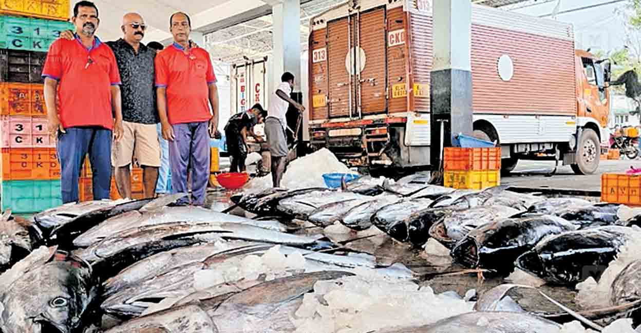 ഒറ്റ ദിവസം കേര മീനിന് കിട്ടിയത് 25 ലക്ഷം; വിറ്റത് മിന്നൽവേഗത്തി ...