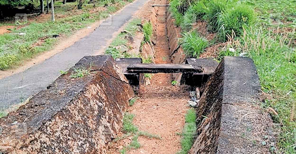 ബ്രാഞ്ച് കനാലിൽ വെള്ളം തുറന്ന് വിട്ടില്ല; ജലക്ഷാമ ഭീഷണിയിൽ നാട് | Water ...
