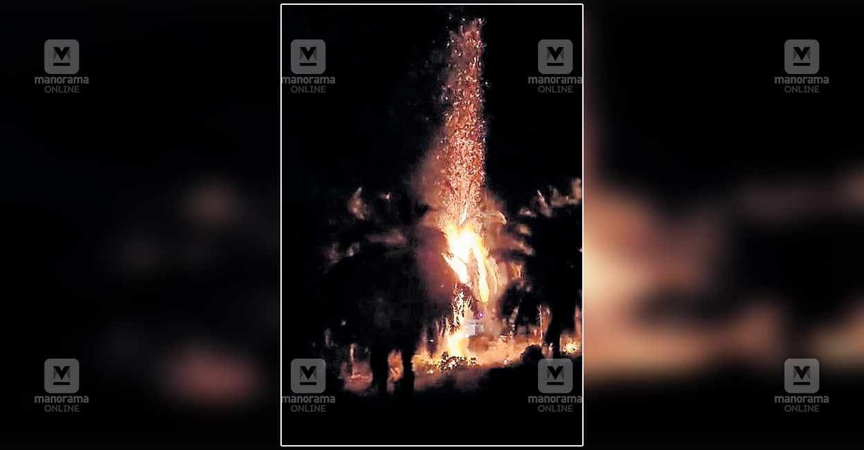 ആനയെ തുരത്താൻ പൊട്ടിച്ച പടക്കം വീണ് എണ്ണപ്പന കത്തി | Athirappilly ...