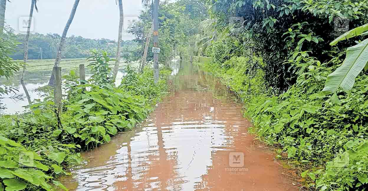 വെട്ടിക്കടവ് പാലം റോഡിൽ വെള്ളം കയറി; ആശങ്കയില്‍ നാട്ടുകാർ | Porkulam ...