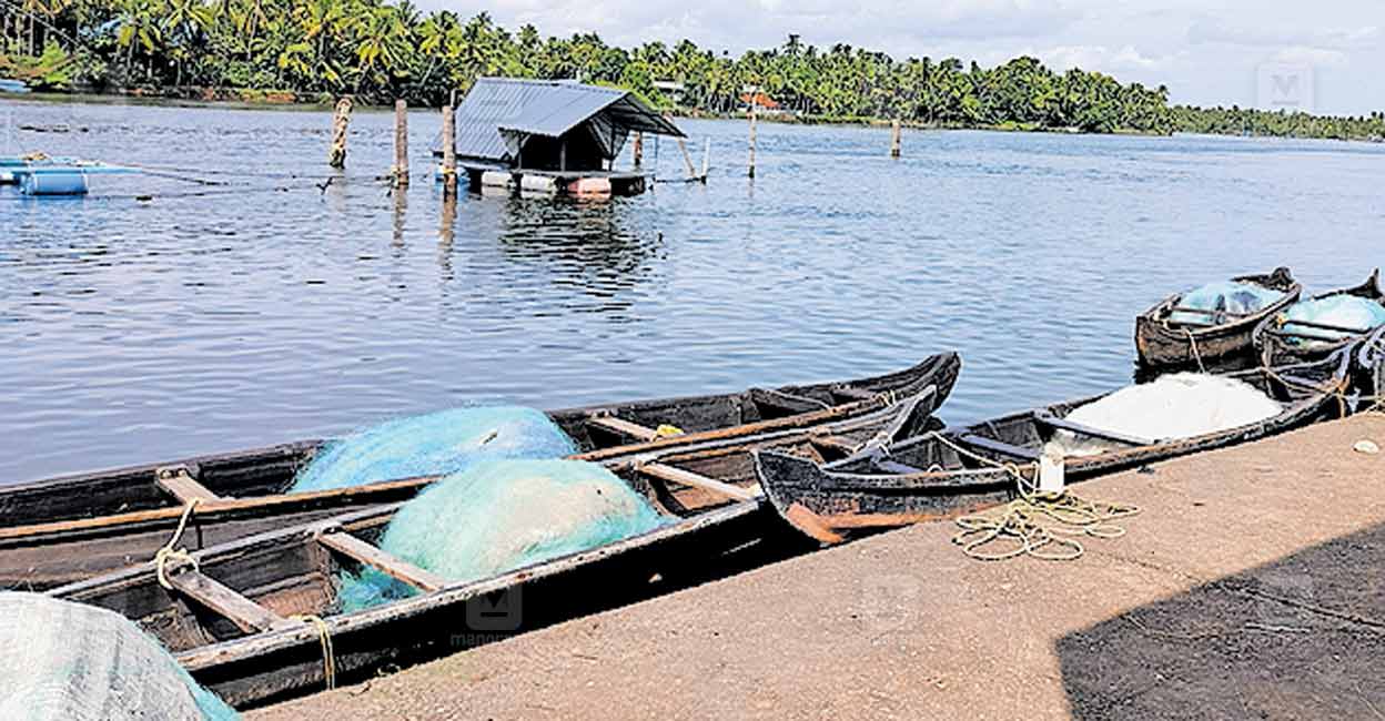 കലങ്ങിയൊഴുകി പുഴ; മീൻക്ഷാമം രൂക്ഷം, ഉൾനാടൻ മത്സ്യബന്ധനം പ്രതിസന്ധിയി ...