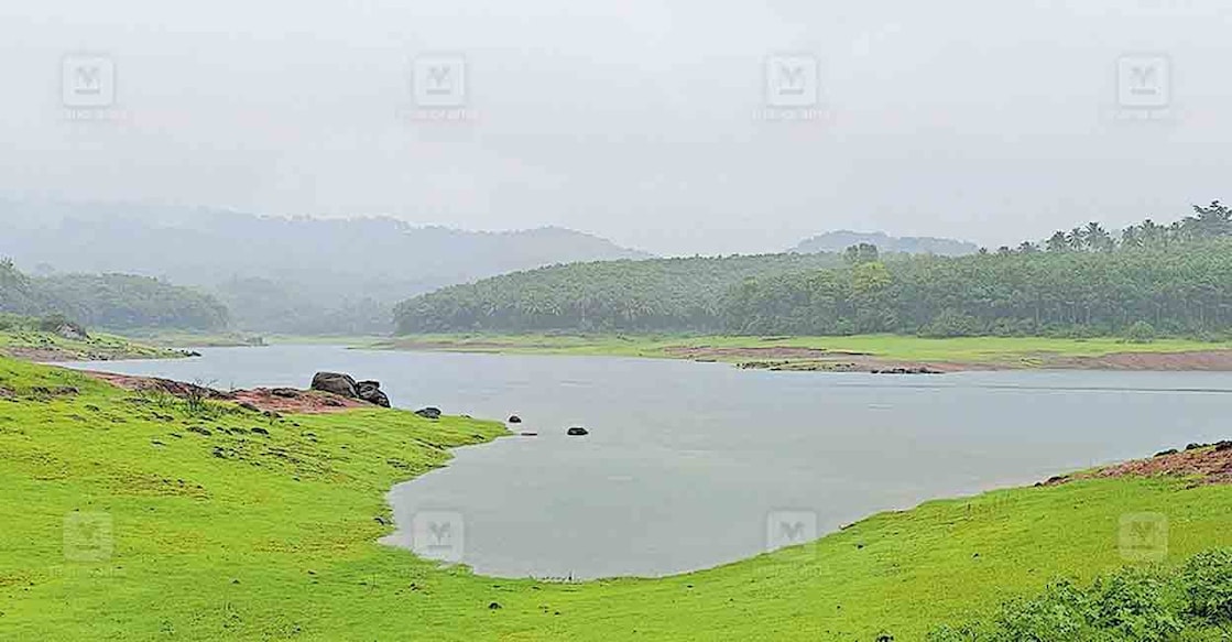 പീച്ചി പാടത്തിന്റെ വിഡിയോ ദൃശ്യം പങ്കുവച്ചു ടൂറിസം മന്ത്രി റിയാസ്; സന്ദ ...
