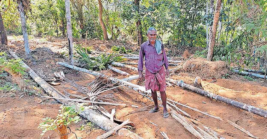 ചുവടോടെ പിഴുതെടുത്തു; തേങ്ങൽ കാണുന്നില്ലല്ലോ ആനേ... | Kerala farmer ...