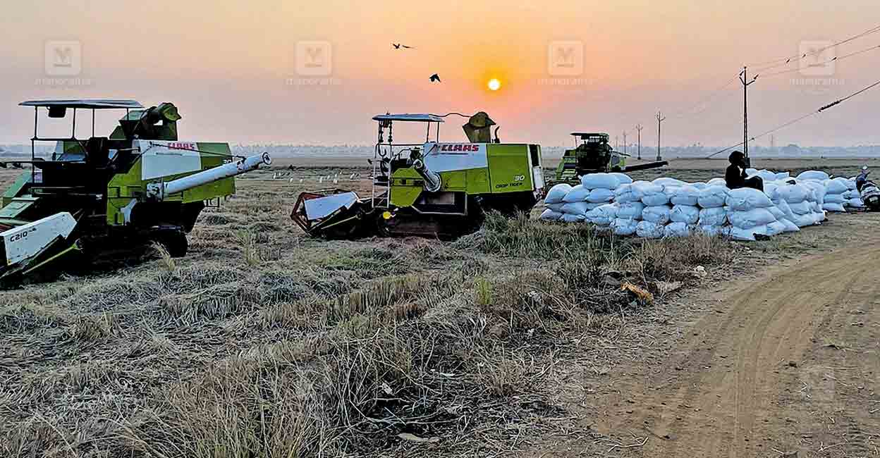 നെൽവിലയിൽ കിഴിവ് ചോദിച്ച് മില്ലുകാർ;ചൂഷണത്തിന് നീക്കമെന്ന്കർഷക ...