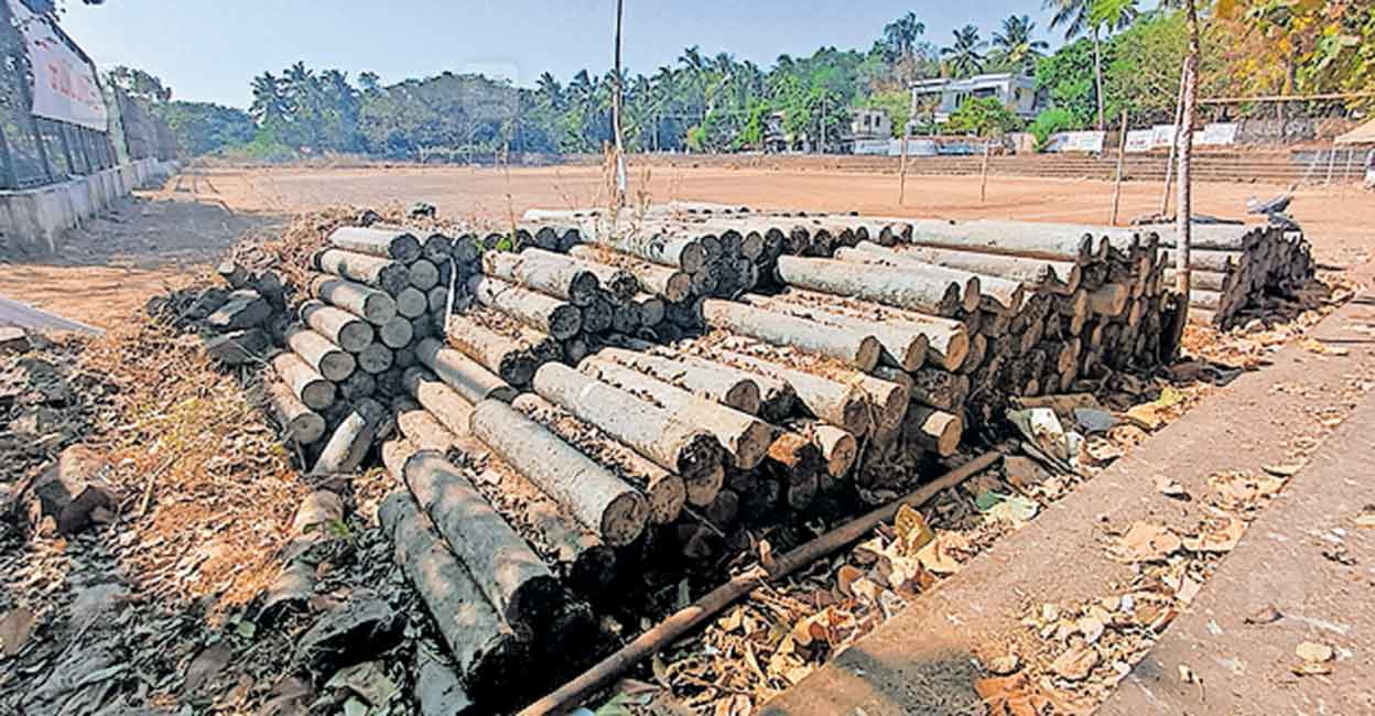 ‘സ്മാരകകുറ്റികൾ’; സിൽവർ ലൈൻ പദ്ധതിക്കു വേണ്ടി കൊണ്ടുവന്ന കുറ്റിക ...