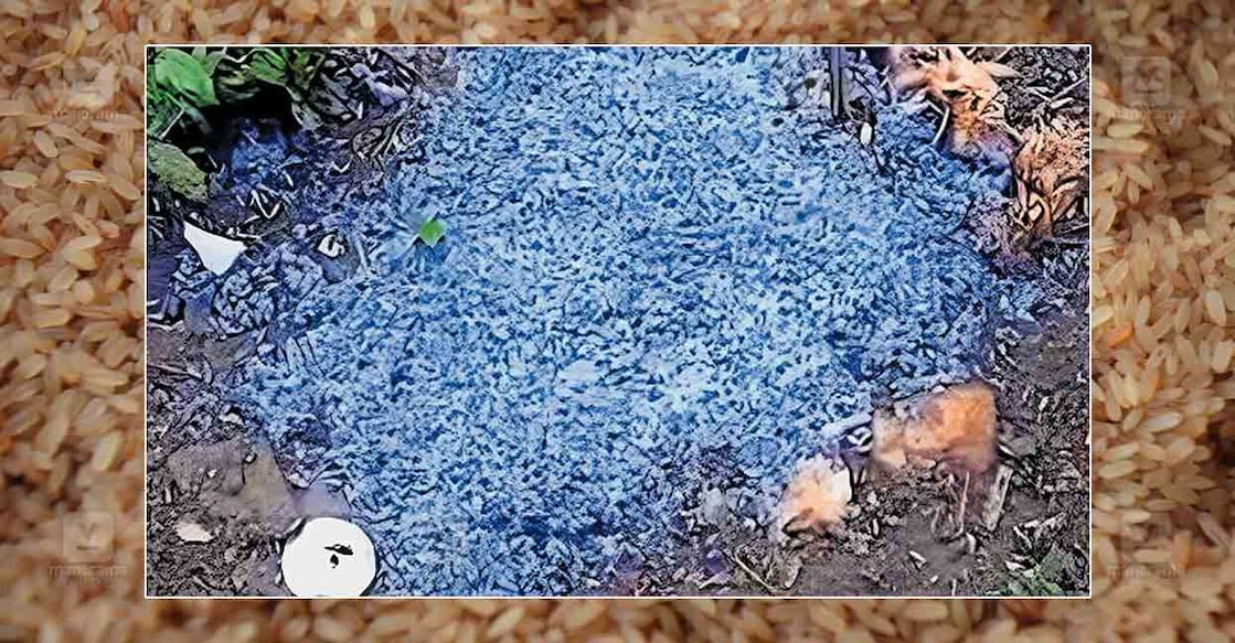 നീലക്കുറുഞ്ഞി പൂത്തതല്ല; റേഷനരി തിളപ്പിച്ചതാ..! അരി തിളപ്പിച്ചപ്പോ ...