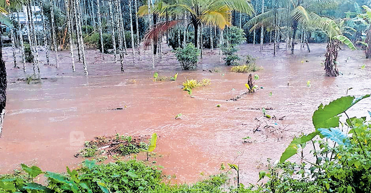 അതിതീവ്ര മഴ, മിന്നൽ പ്രളയം; പൂതാടിയിൽ കനത്ത നാശനഷ്ടം
