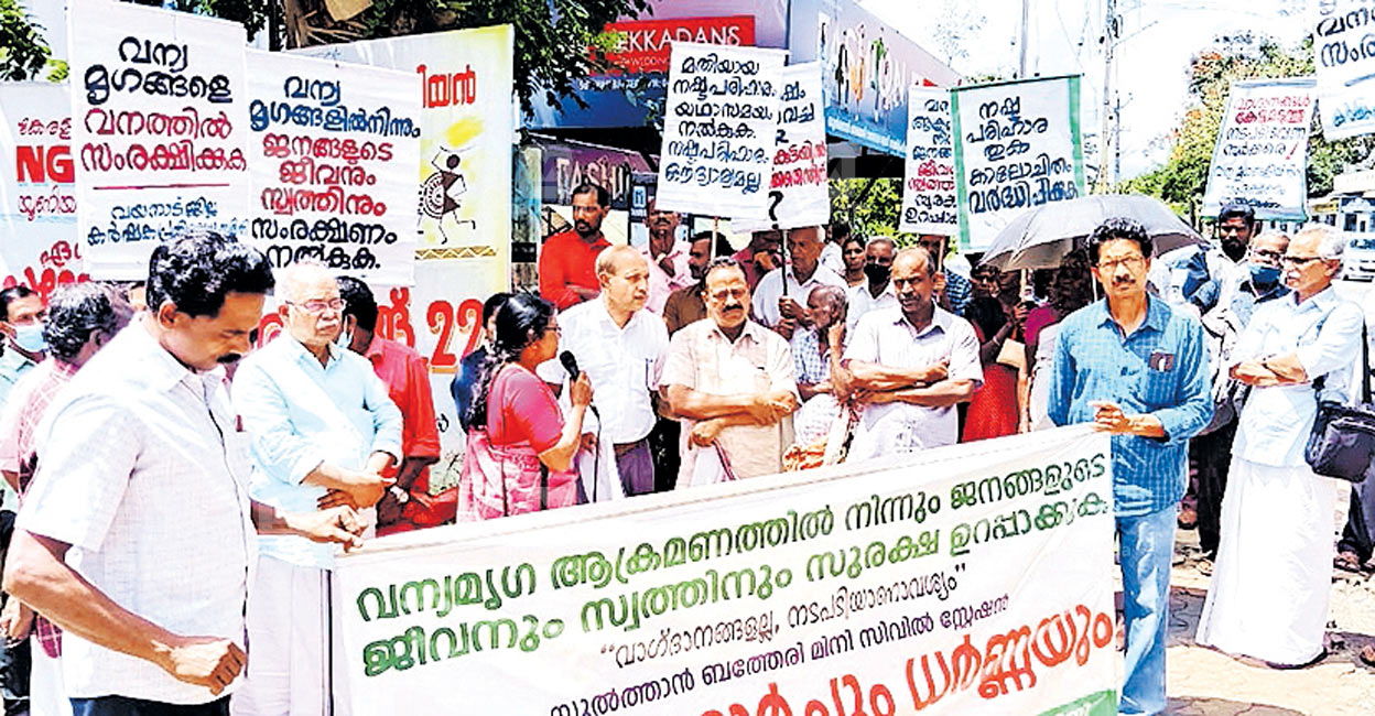 അണിയറയിലൊളിച്ച് കടുവ; അരങ്ങിൽ സമരകാഹളം