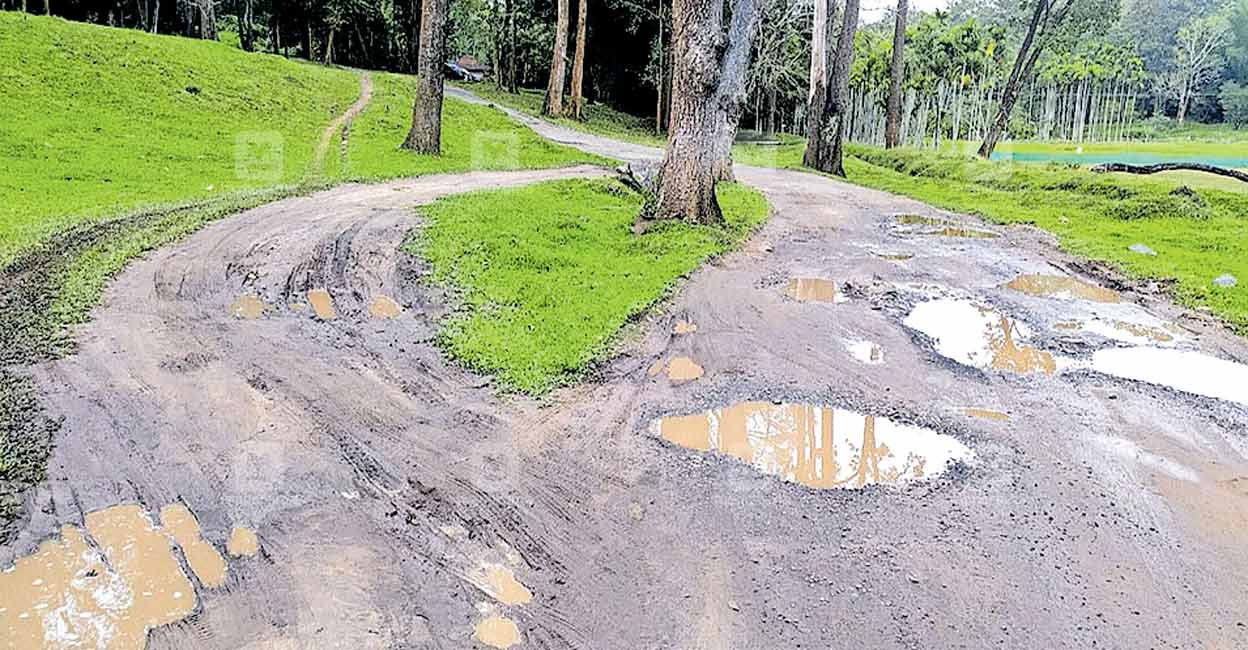 ചേകാടി വനപാത നിർമാണം സർക്കാർ ഏറ്റെടുക്കണം