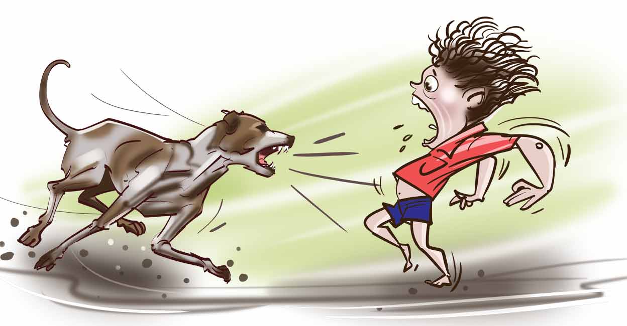 നാട്ടുകാരെ കടിച്ചുകീറുകയാണ്... ആരും കാണുന്നില്ലേ? | Stray Dog Rescue ...