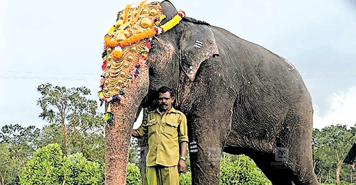 ബ്രിട്ടിഷ് പാർലമെന്റിൽ വരെ ചർ‌ച്ച ചെയ്യപ്പെട്ട മൂർത്തി എന്ന മോഴയാന; 23 ...
