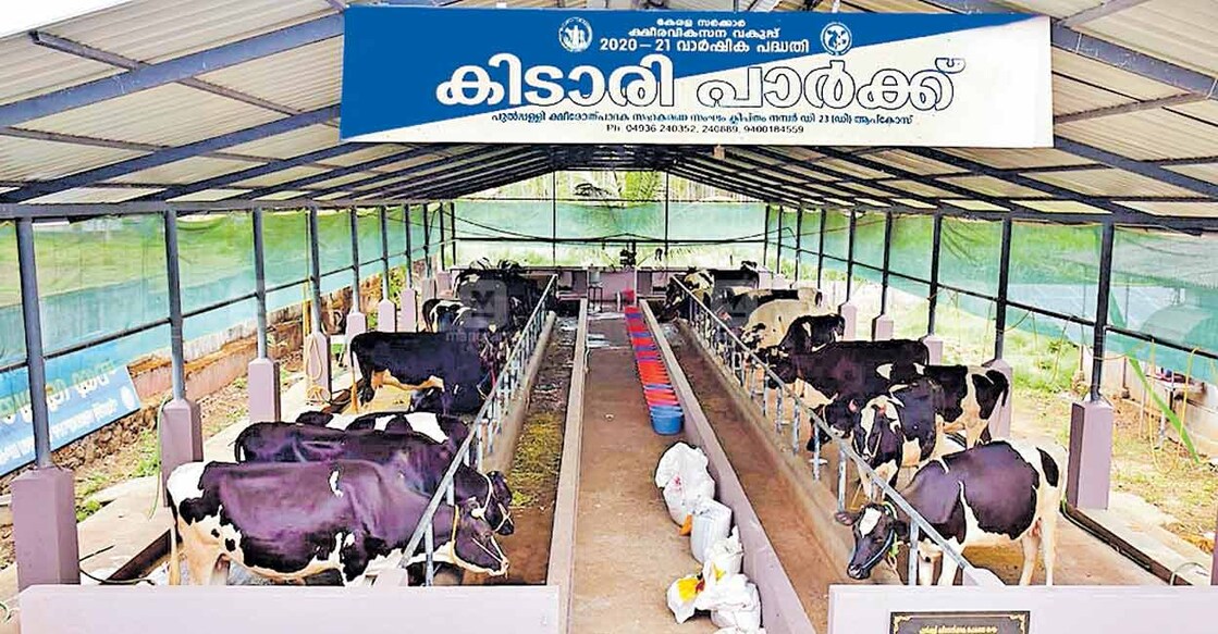 ക്ഷീരമേഖലയ്ക്ക് മുതൽക്കൂട്ടായി കിടാരി പാർക്ക്