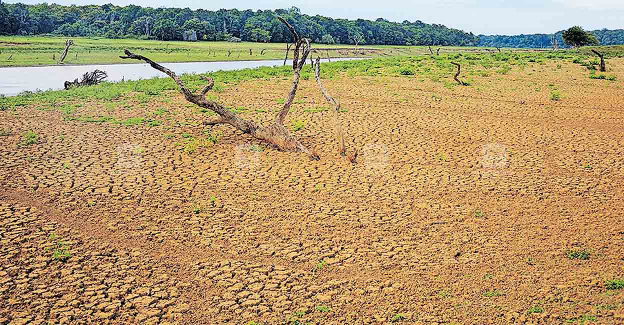 Kerala Weather Forecast: Monitoring Indian Monsoon and El Niña Impact ...