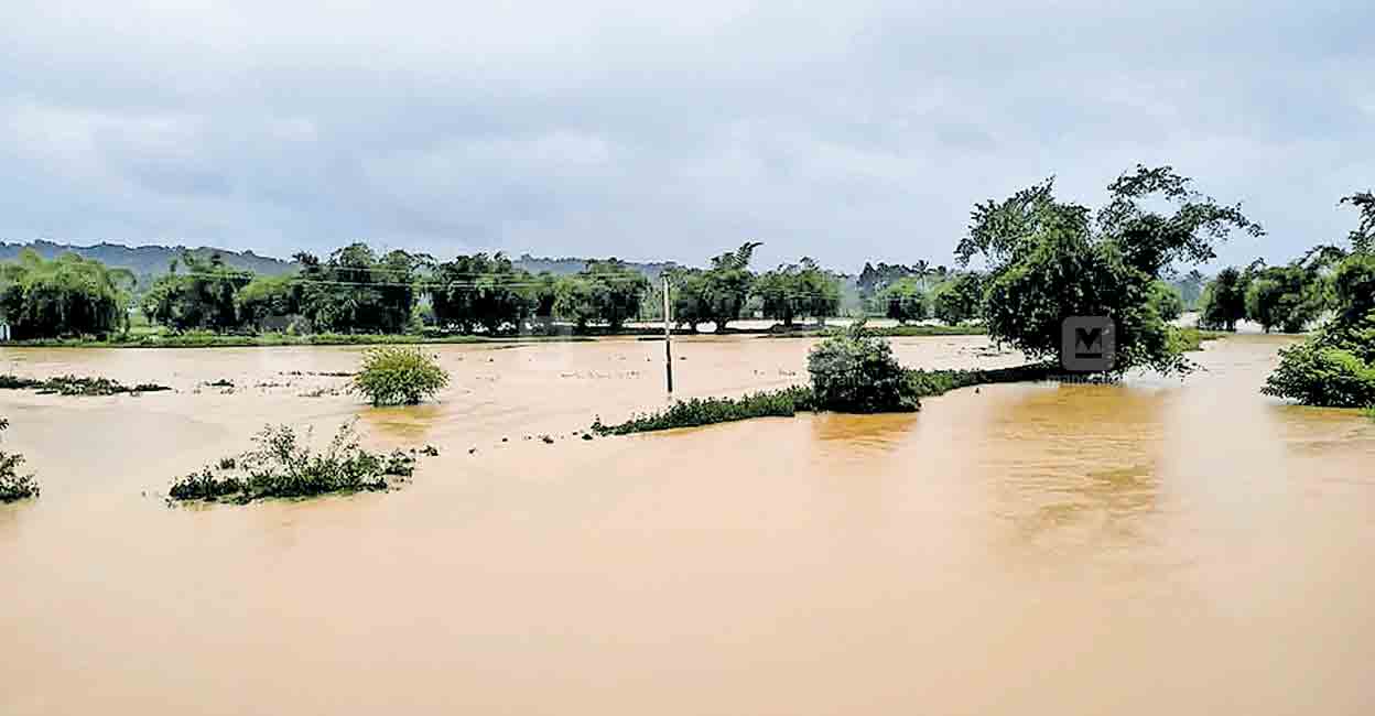 തോരാമഴയിൽ തീരാദുരിതം... കനത്ത മഴ, കാറ്റ്: വ്യാപക നാശനഷ്ടം | Wayanad ...
