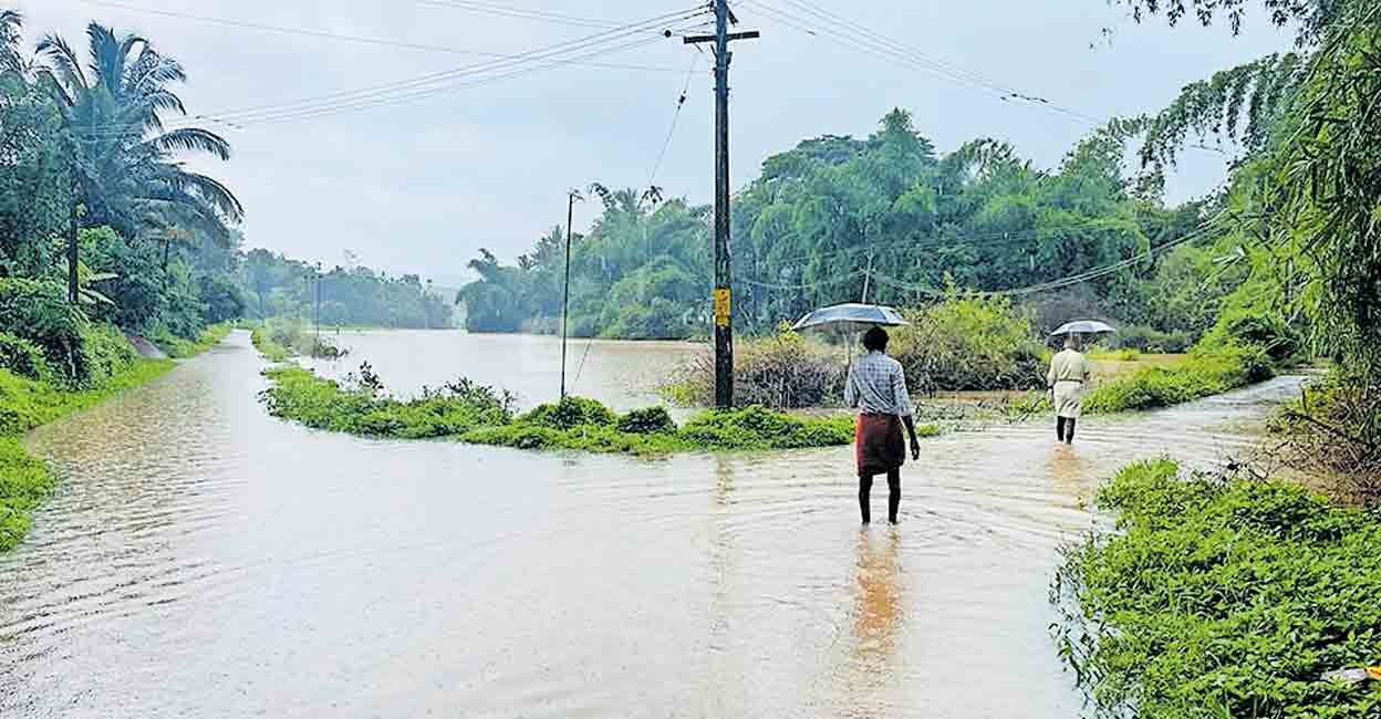 തോരാമഴയിൽ തീരാദുരിതം... കനത്ത മഴ, കാറ്റ്: വ്യാപക നാശനഷ്ടം | Wayanad ...