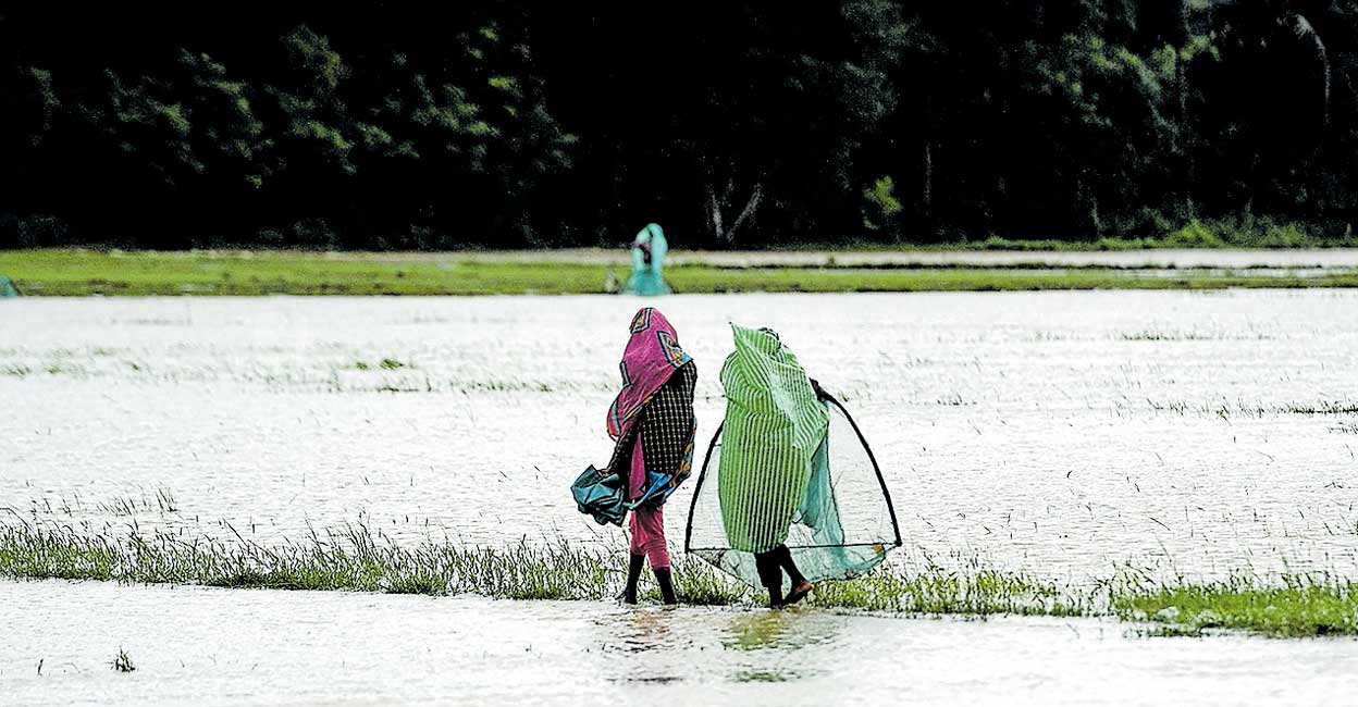 ശക്തി കുറയാതെ കാലവർഷം | Wayanad rain update | Wayanad weather forecast ...