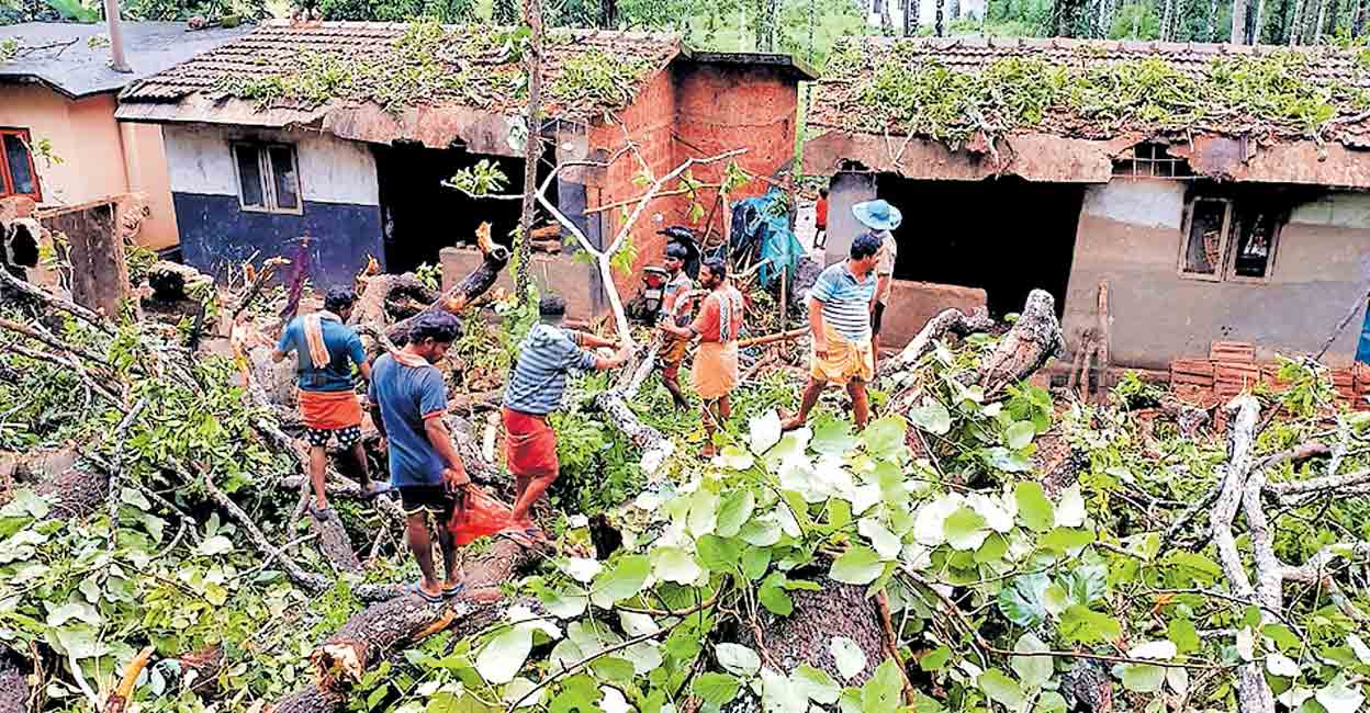 പൊളന്ന കോളനിയിൽ മരം വീണ് മൂന്നു വീടുകൾ തകർന്നു | Wayanad rain update ...