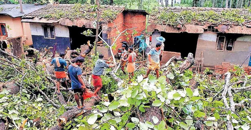 പൊളന്ന കോളനിയിൽ മരം വീണ് മൂന്നു വീടുകൾ തകർന്നു | Wayanad rain update ...