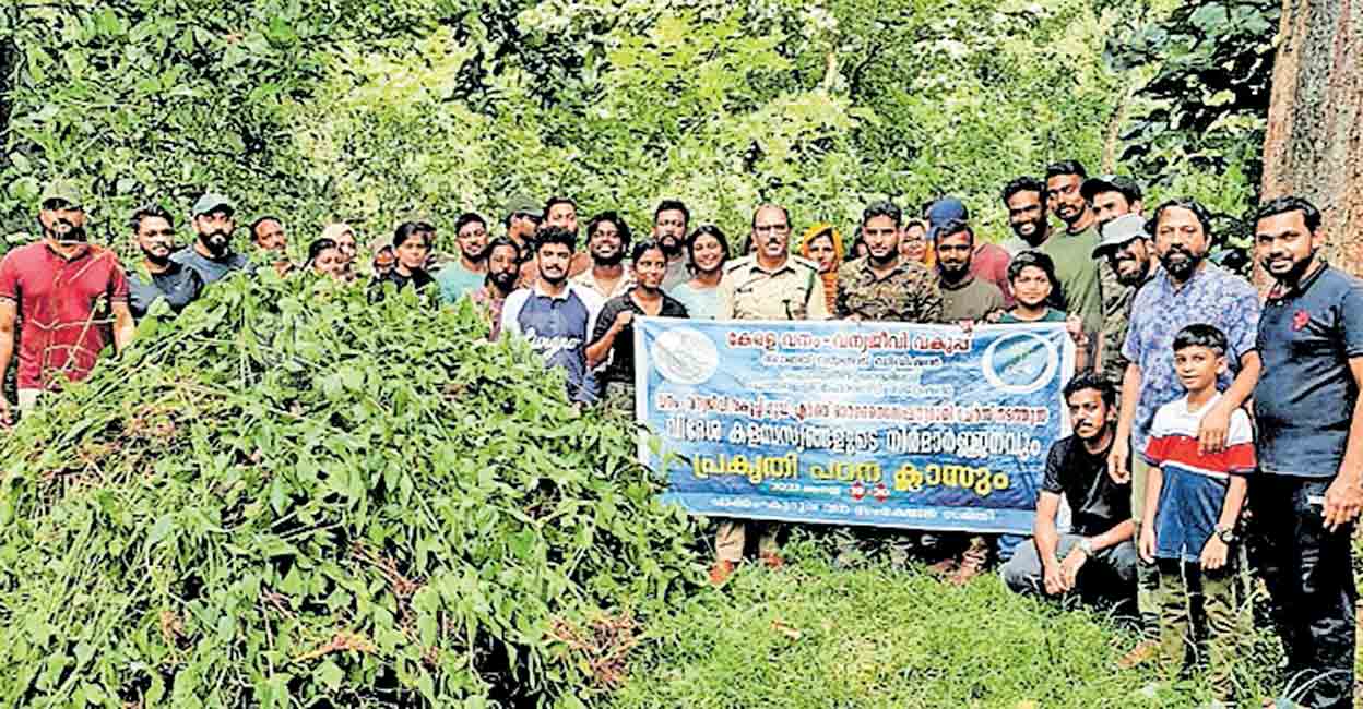പരിസ്ഥിതി പ്രശ്നം: കുറുവ ദ്വീപിലെ വിദേശ കളകൾ നീക്കം ചെയ്തു