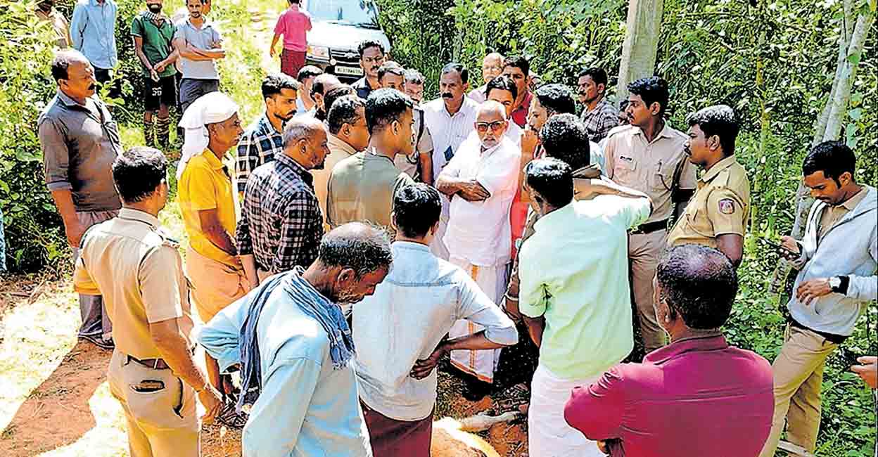 മൂരിക്കിടാവിനെ കൊന്ന് കടുവ