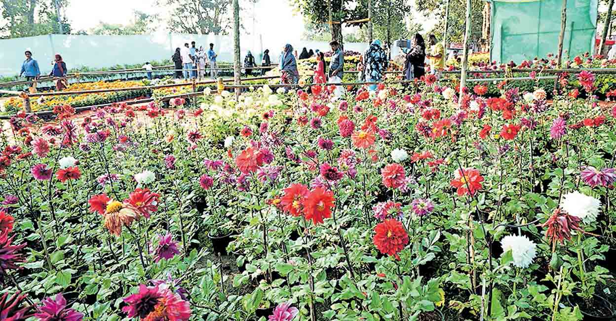 1000ലധികം വ്യത്യസ്തമായ പൂക്കൾ; വയനാടിന്റെ മനം കവർ‌ന്ന് ഫ്ലവർഷോ