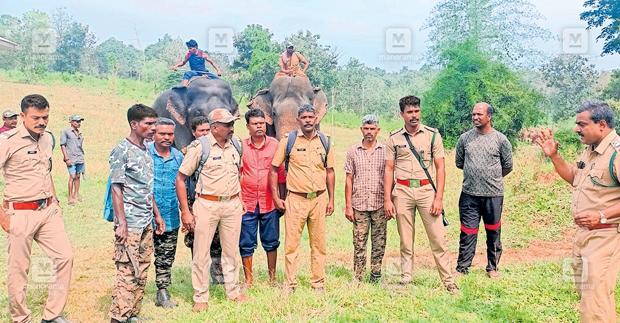 വയലിലിറങ്ങുന്ന ആനകളെ തുരത്താൻ കുങ്കികൾ; വനാതിർത്തികളിൽ നടത്തുന്നത് 4 ...