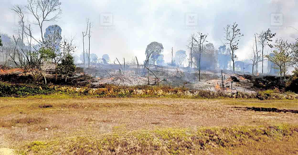 കാട്ടുതീ പടർന്നു: വയനാട് വന്യജീവി സങ്കേതത്തിൽ 10 ഏക്കർ വനം കത്തി നശിച്ചു