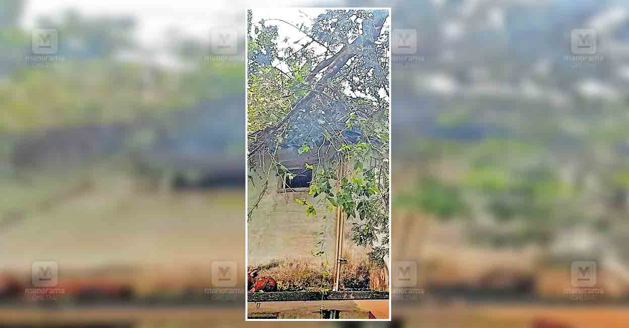 കാറ്റിലും മഴയിലും കനത്ത നാശം | Wayanad rain update | Wayanad weather ...