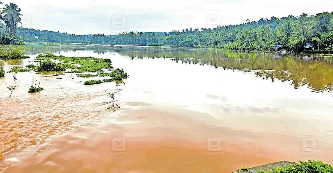 മഴ: പുഴകൾ കരകവിഞ്ഞു; വൻ നാശം | Wayanad rain update | Wayanad weather ...