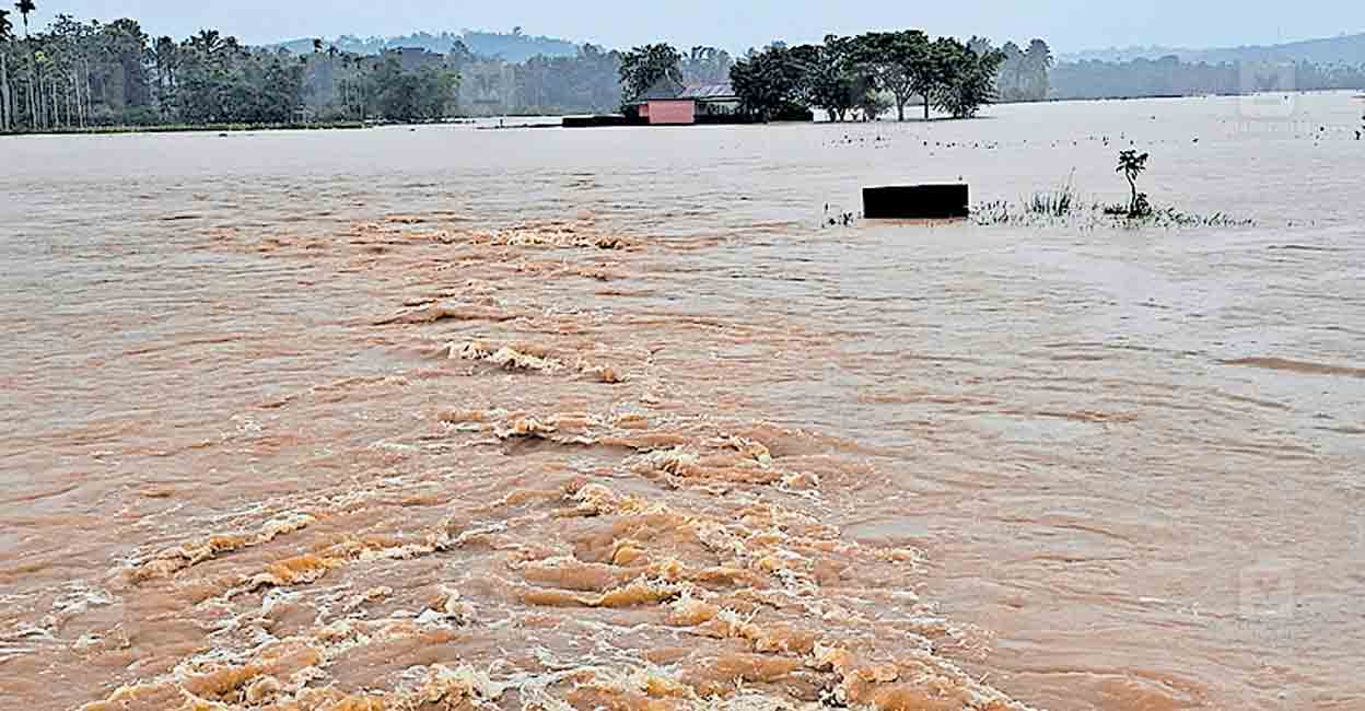 ദുരിതപ്പെയ്ത്ത് ഭയനാട്; നരസിപുഴ കരകവിഞ്ഞ് പുഴയോരത്തെ ഊരുക ...