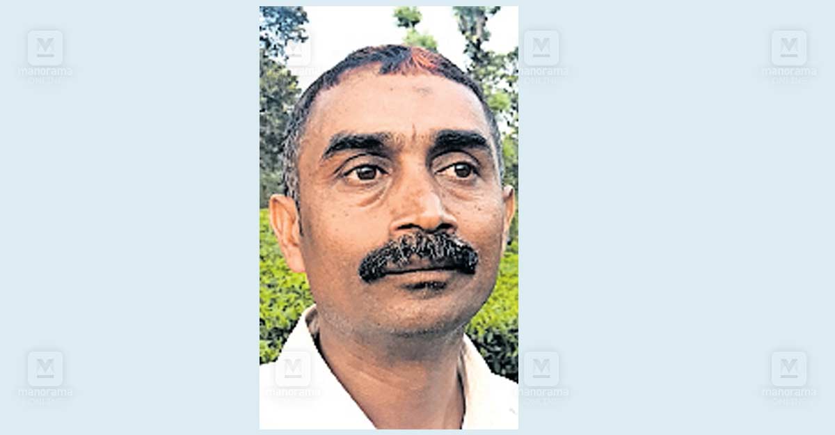 കടുവ പഞ്ചാരക്കൊല്ലിയിൽ തന്നെ; കണ്ടെന്ന് നാട്ടുകാർ | Tiger sighting | Pilakkavu | Pancharakolli ...