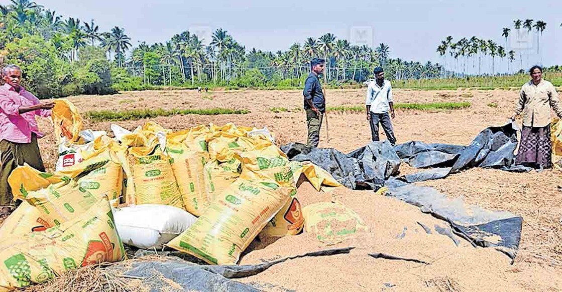 രാത്രി രണ്ടു മണിവരെ കാവൽ നിന്നു, ശേഷം കാട്ടാനയുടെ വിളയാട്ടം ...