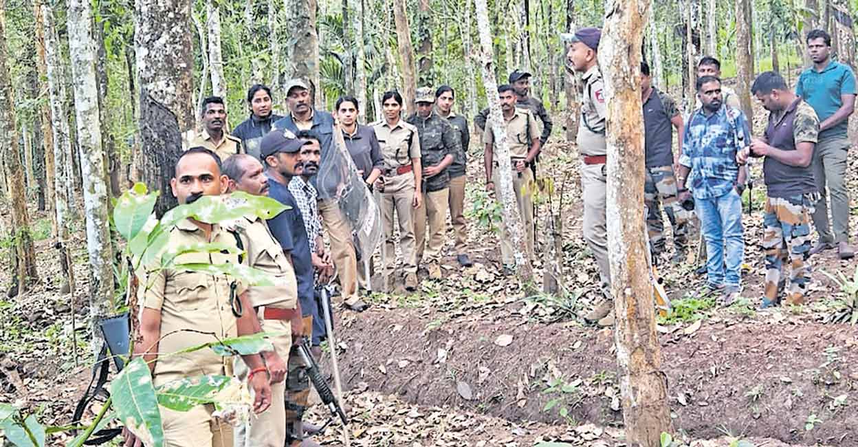 കടുവാ ഭീതിയിൽ പുൽപള്ളി; പഞ്ചായത്തിലെ മൂന്ന് വാർഡുകളിൽ നിരോധനാജ്ഞ, അതീവ ...