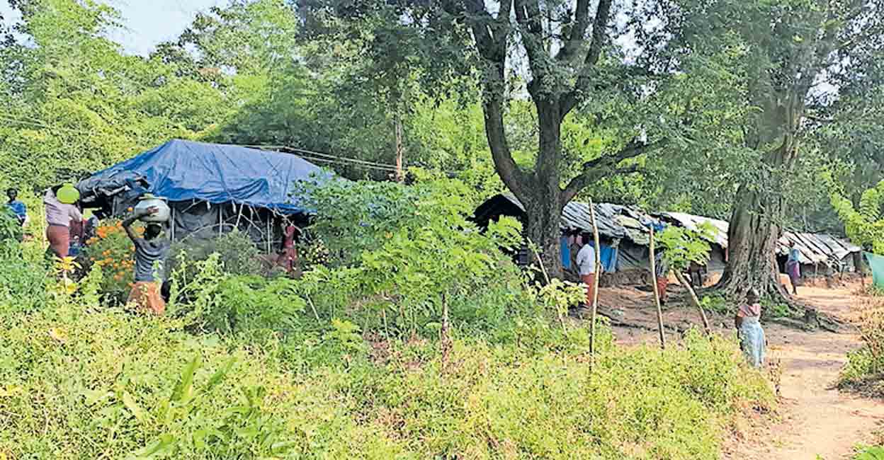സുരക്ഷിത വാസകേന്ദ്രമില്ലാതെ വിലങ്ങാടി ഉന്നതിനിവാസികൾ | Kerala tribal ...