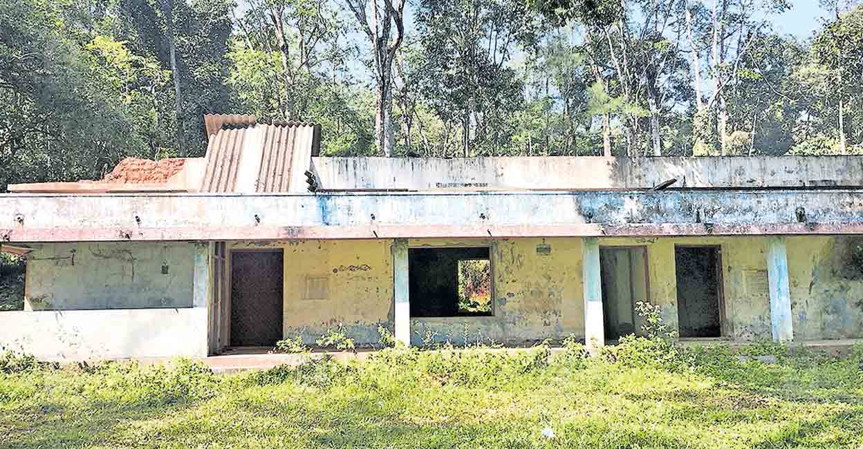 സുഗന്ധഗിരി ആദിവാസി പുനരധിവാസ പദ്ധതി ഭൂമിയിൽ ഗോത്ര മ്യൂസിയം ഒരു വ ...