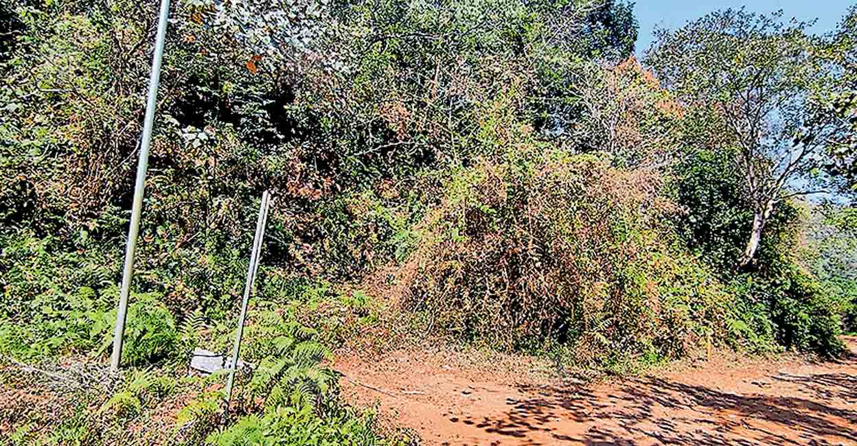 വനാതിർത്തിയിൽ റോപ് ഫെൻസിങ്; പ്രവൃത്തി തുടങ്ങിയിടത്തു തന്നെ | Thariyode ...