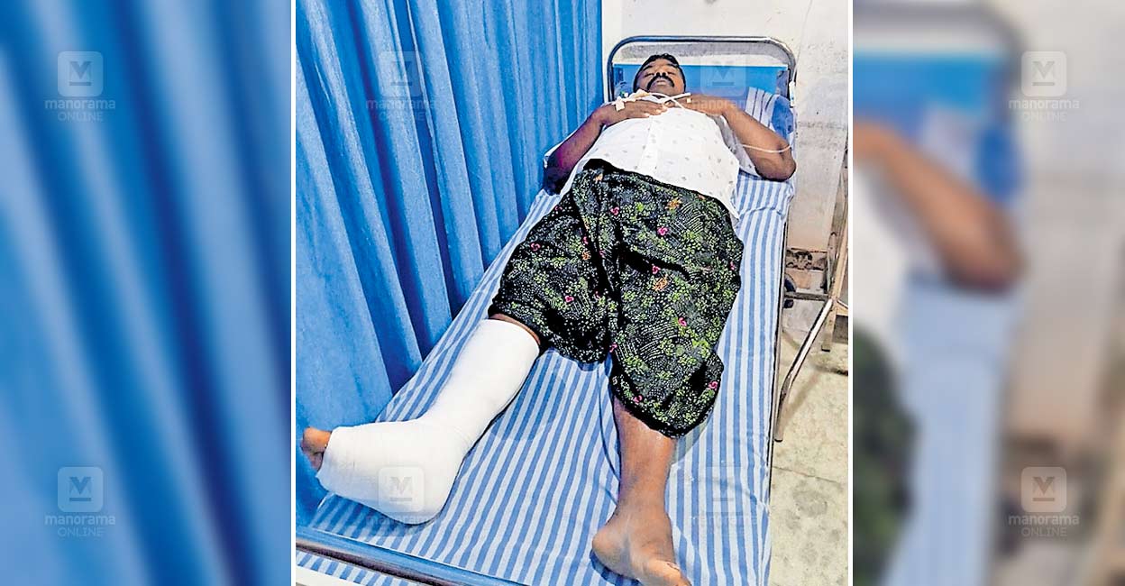 മാൻ കുറുകെ ചാടി; ബൈക്ക് യാത്രികനു ഗുരുതര പരുക്ക് | Pulpalli | Bathery ...