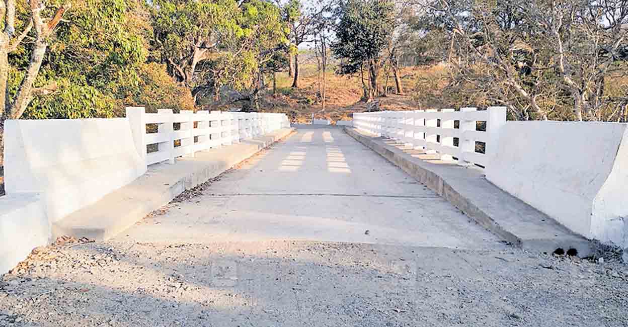 മുടക്കാൻ വനംവകുപ്പ് പലപണി പയറ്റി; എന്നിട്ടും പാലംപണി പൂർത്തിയായി ...