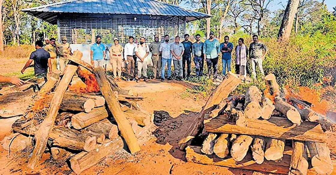 വയനാട്ടിൽ 3 കടുവകൾ ചത്തത് മറ്റു കടുവകളുടെ ആക്രമണത്തിലെന്ന് പോസ്റ്റ്മോ ...