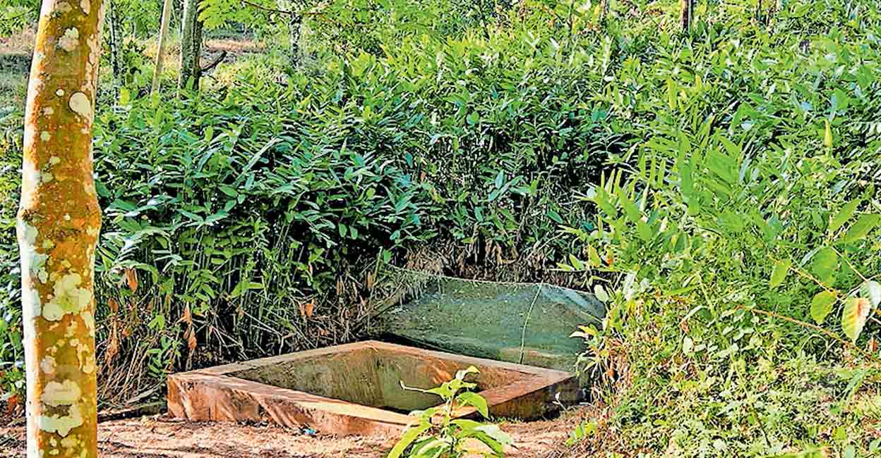 തലമുറകളുടെ ദാഹമകറ്റിയ പീതാൾ ഇന്നും ജലസമൃദ്ധം | Peethaal spring ...